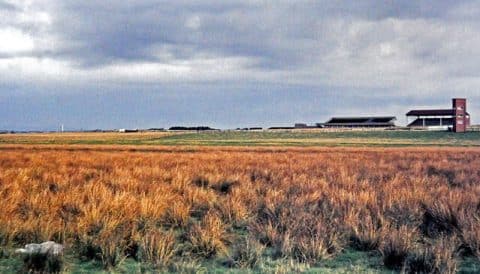 The Bogside Racecourse | Irvine Golf Club